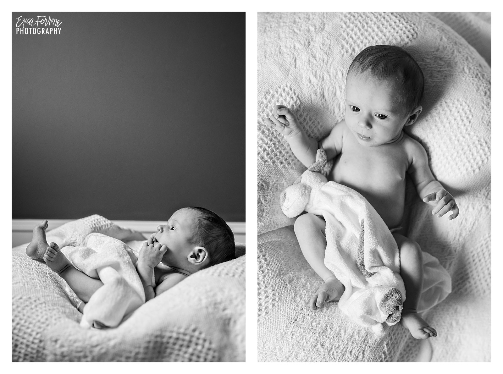 Boston Newborn Photography | Sweet Baby Adelyn » Erica Ferrone Photography